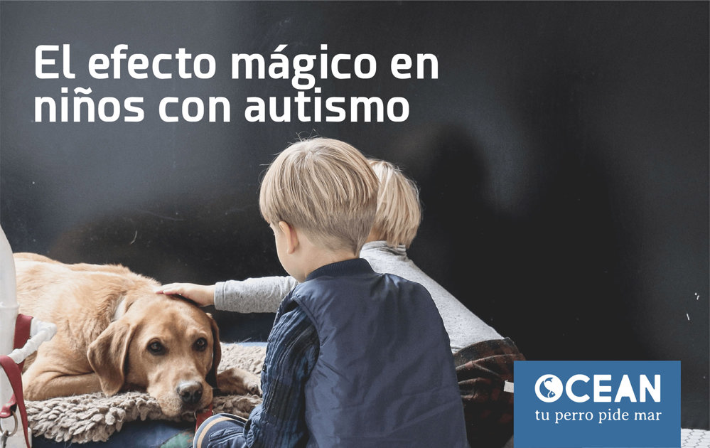 El efecto mágico de los perros en niños con autismo - Ocean