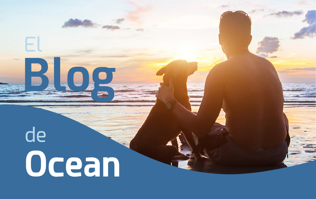 Blog de Ocean - Ocean