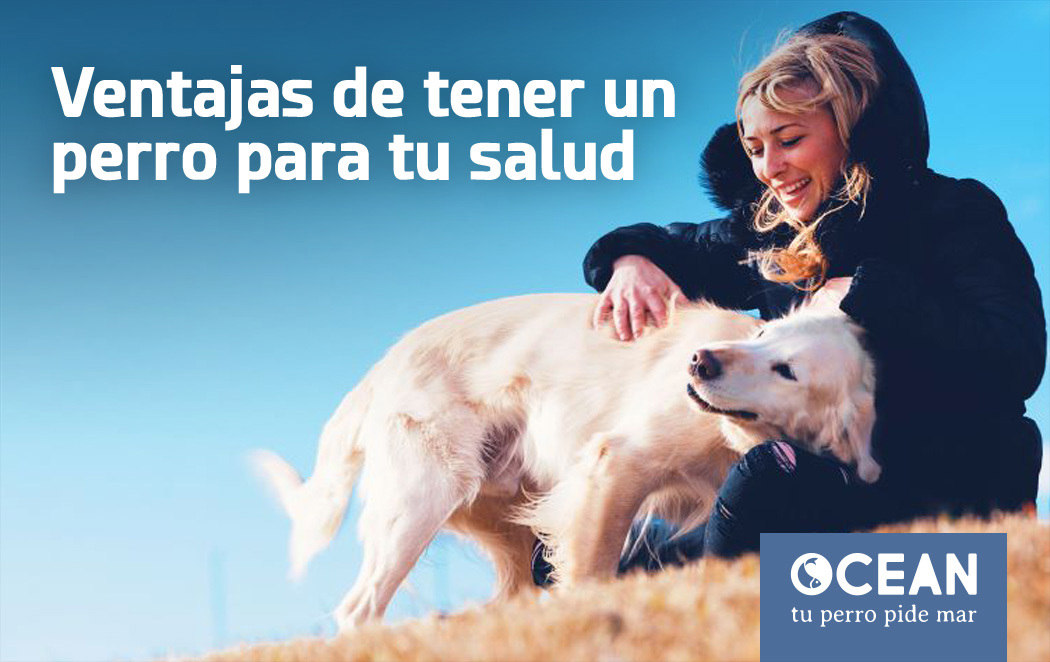 Ventajas de tener perro para tu salud - Ocean